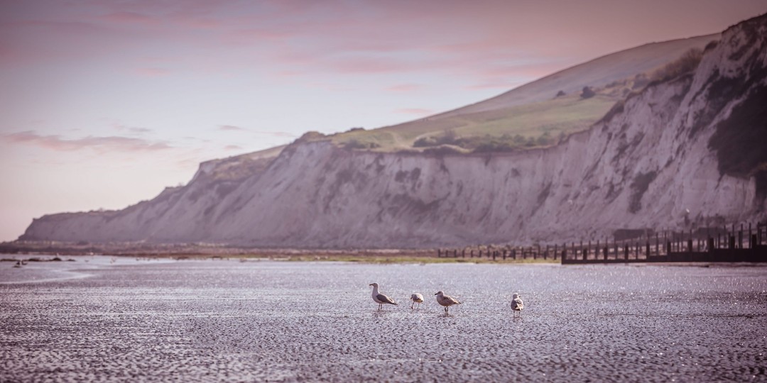 Self catering and holidays rentals in Meads Village Eastbourne