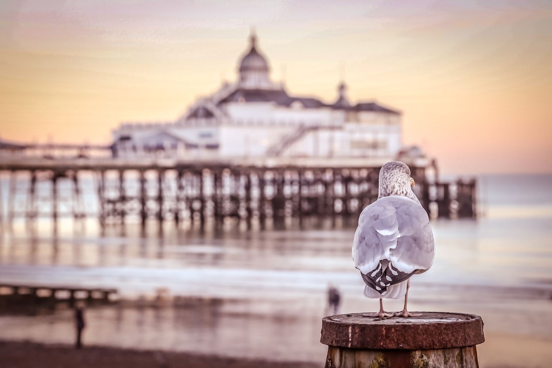 Eastbourne | Why visit the UK's sunniest place?