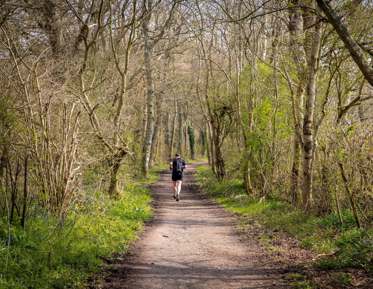 Explore Eastbourne | Things to see and do on the sunshine coast